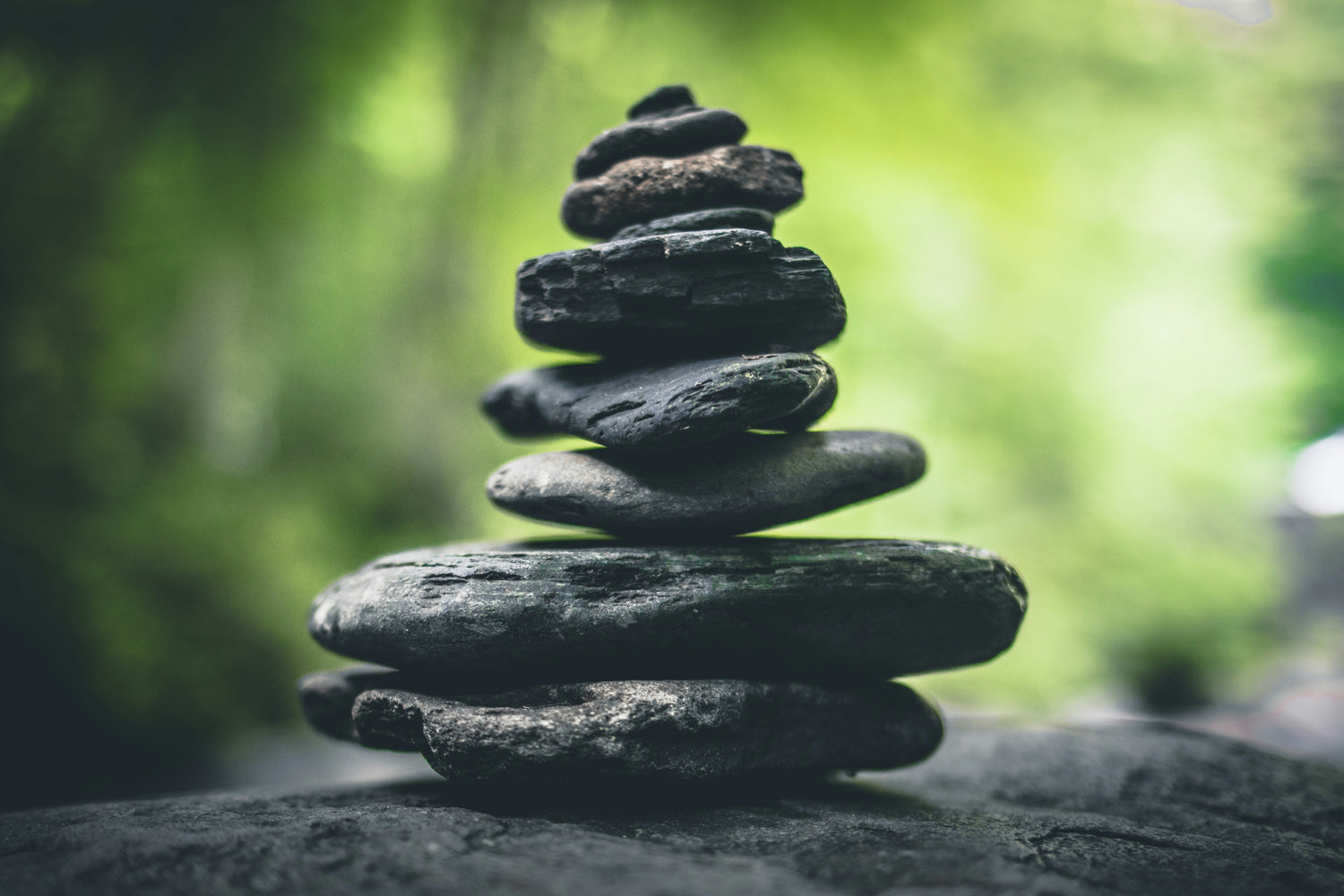The Hormone-Balancing Duo: Vitex & Maca Root – THE HEALING TREE OF LIFE