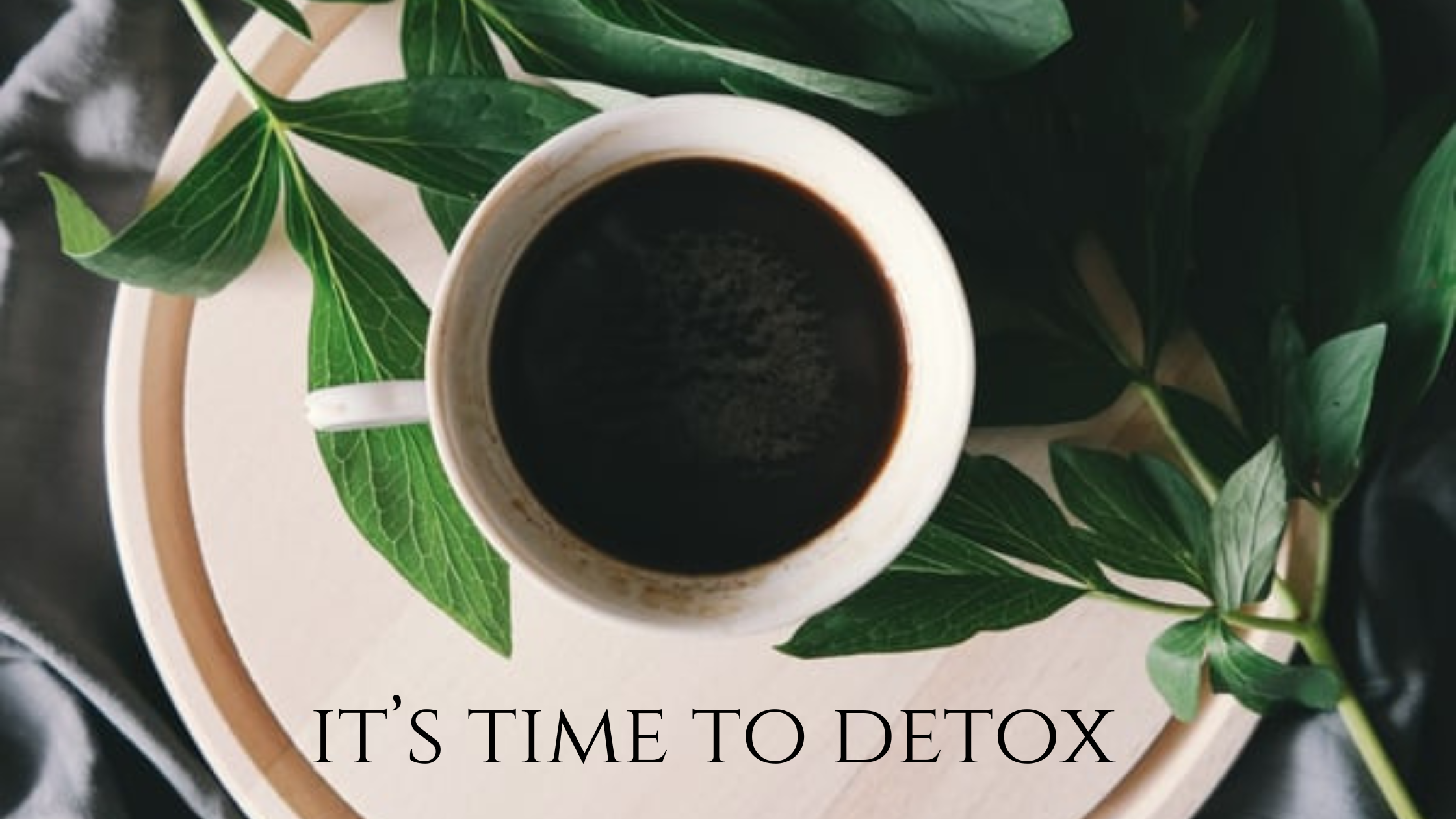 The Healing Tree of Life | Luxury Fertility Teas for Women – THE ...